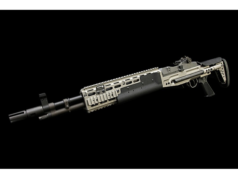RA-TECH 客製化 WE M14 EBR MOD0 GBB LV3 (Titanium)